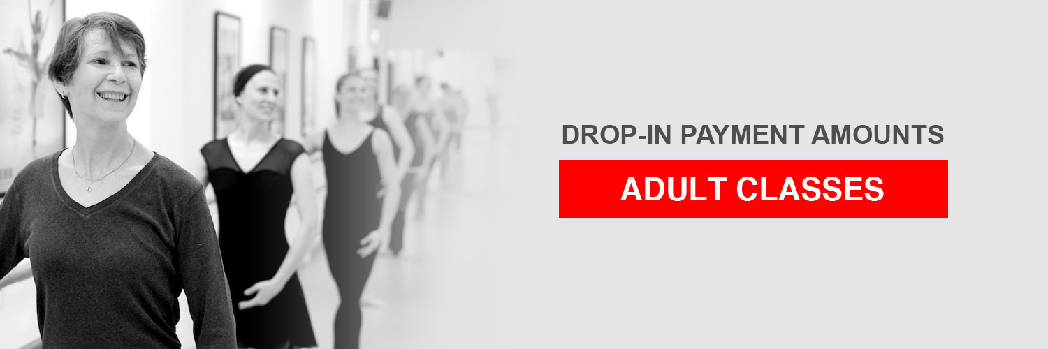 Adult Classes – V and T Dance Academy